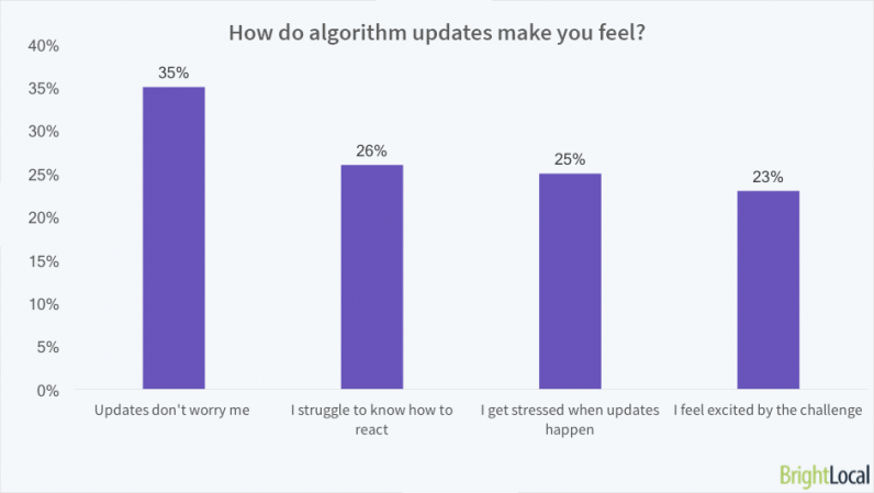 The Human Impact of Google Algorithm Updates - BrightLocal