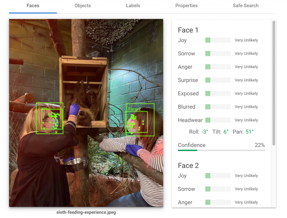 What is Visual Search? A Primer for Local Businesses - BrightLocal